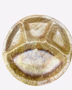 Buy Babool disposable partition patal plates Online at Best Prices at ...